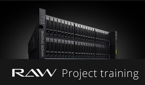 Wings Engine RAW project training